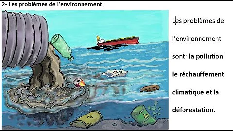 Quels sont les problèmes environnementaux en France et quelles en sont ...