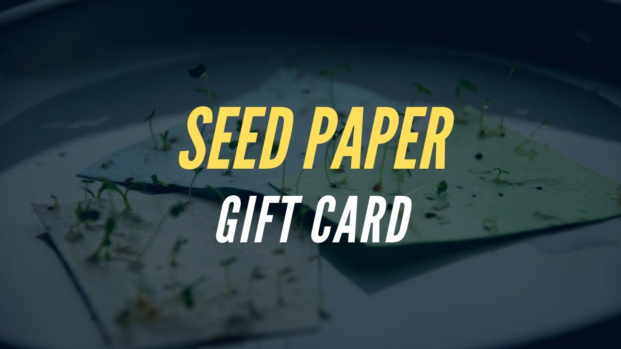 Ep53: The Ultimate Go Green Seed Paper Greeting Card - YouTube