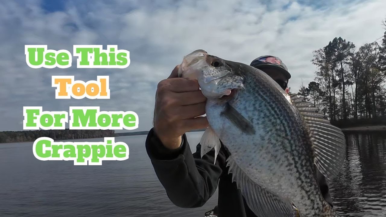 Use This Tool To Catch More Crappie - Fishing w/ Livescope Footage ...