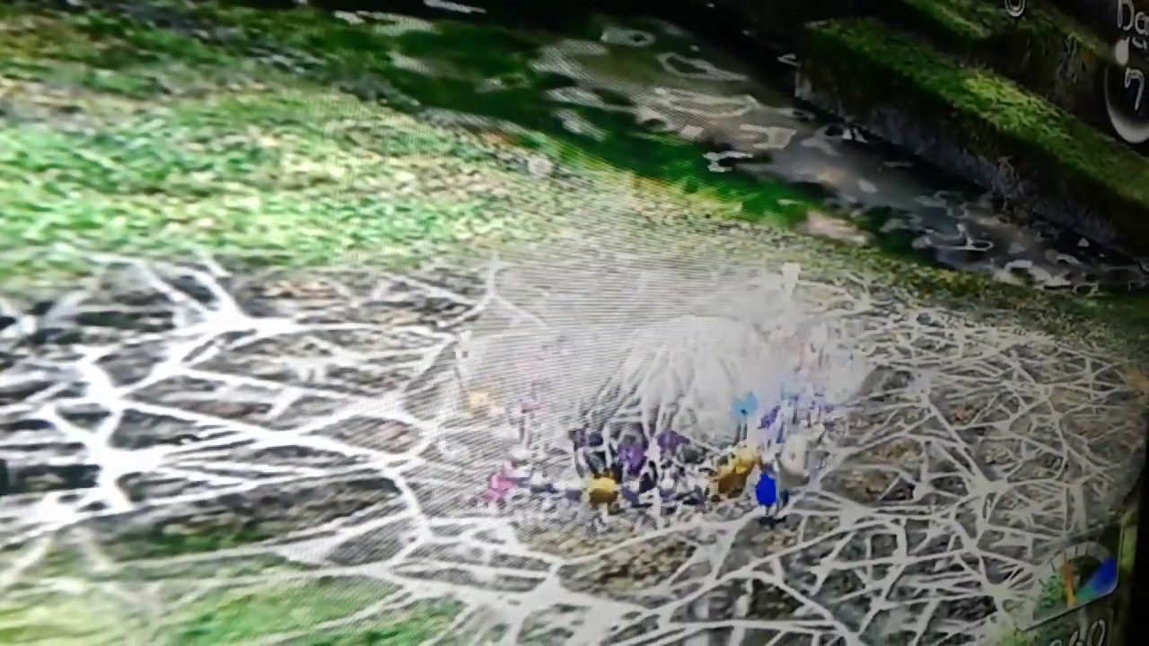 Pikmin 2 Glitch: Indestructible Burgeoning Spiderwort Mold - YouTube