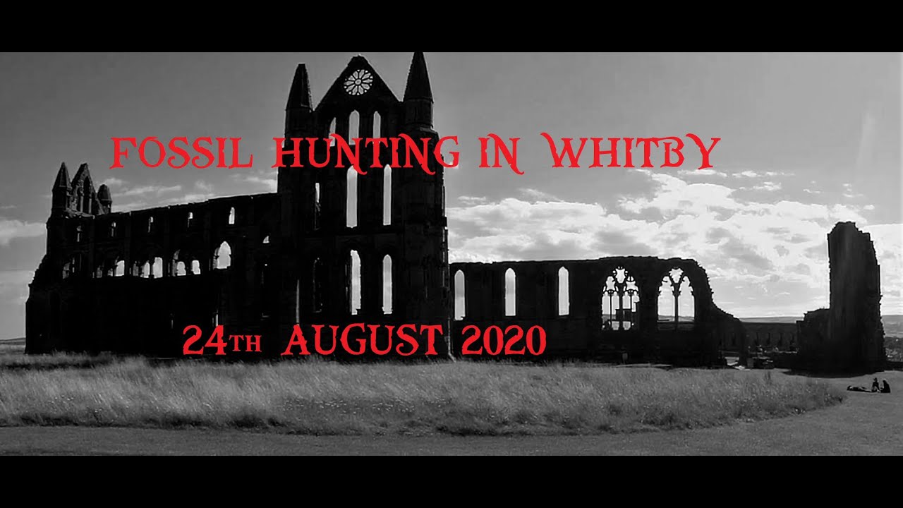 Fossil Hunting in Whitby - YouTube