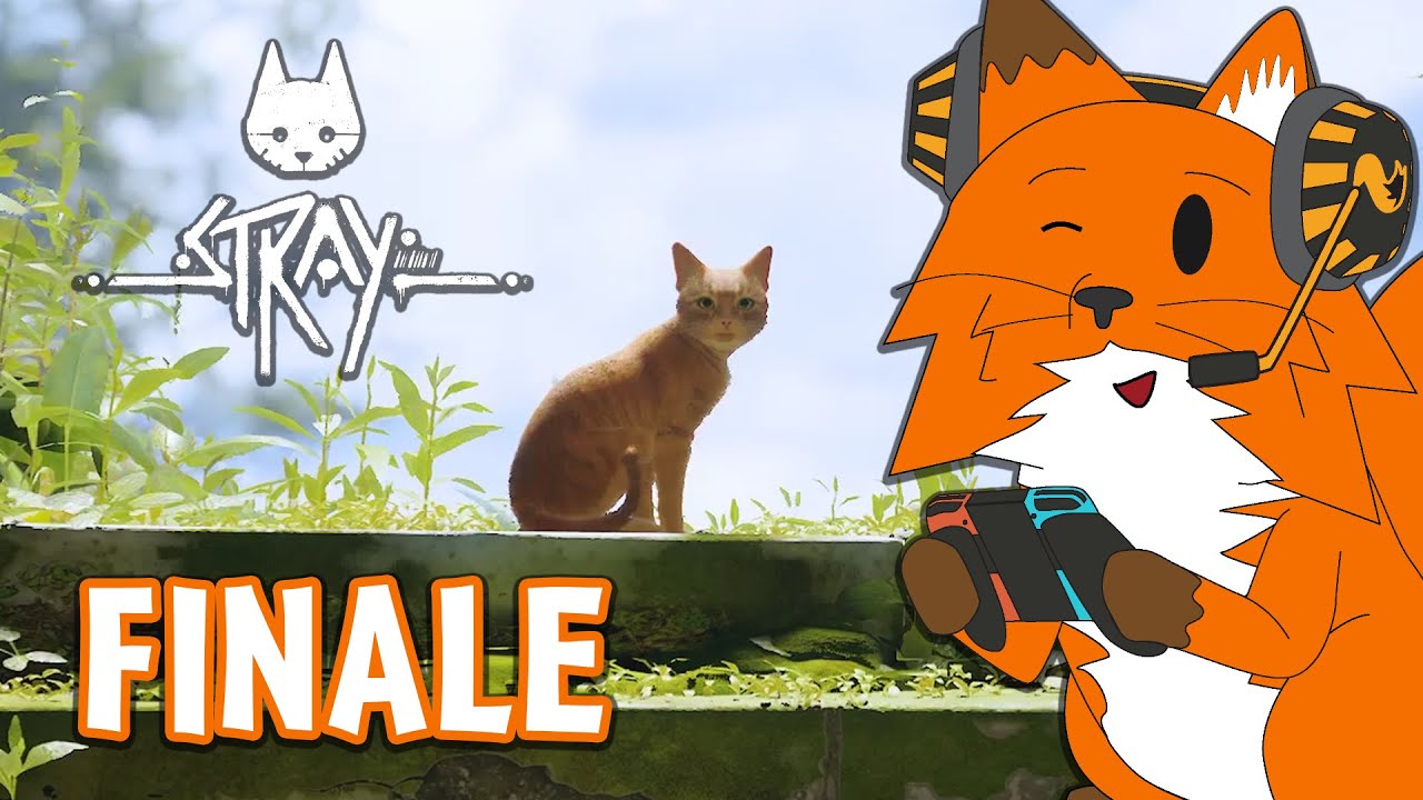 Stray (Part 2 FINALE) - A Fox Be Streaming - YouTube