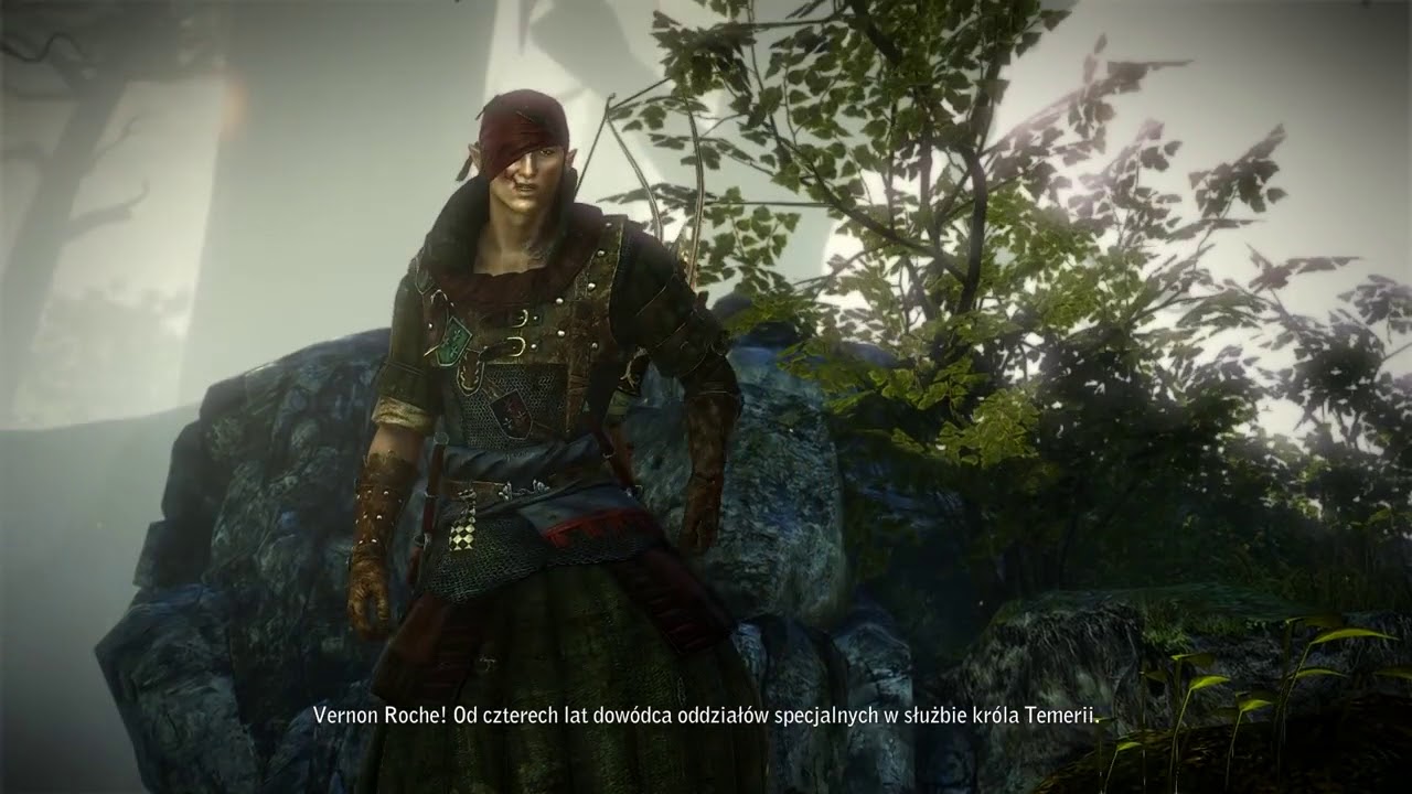 Wiedźmin 2 Iorweth vs Roche - YouTube