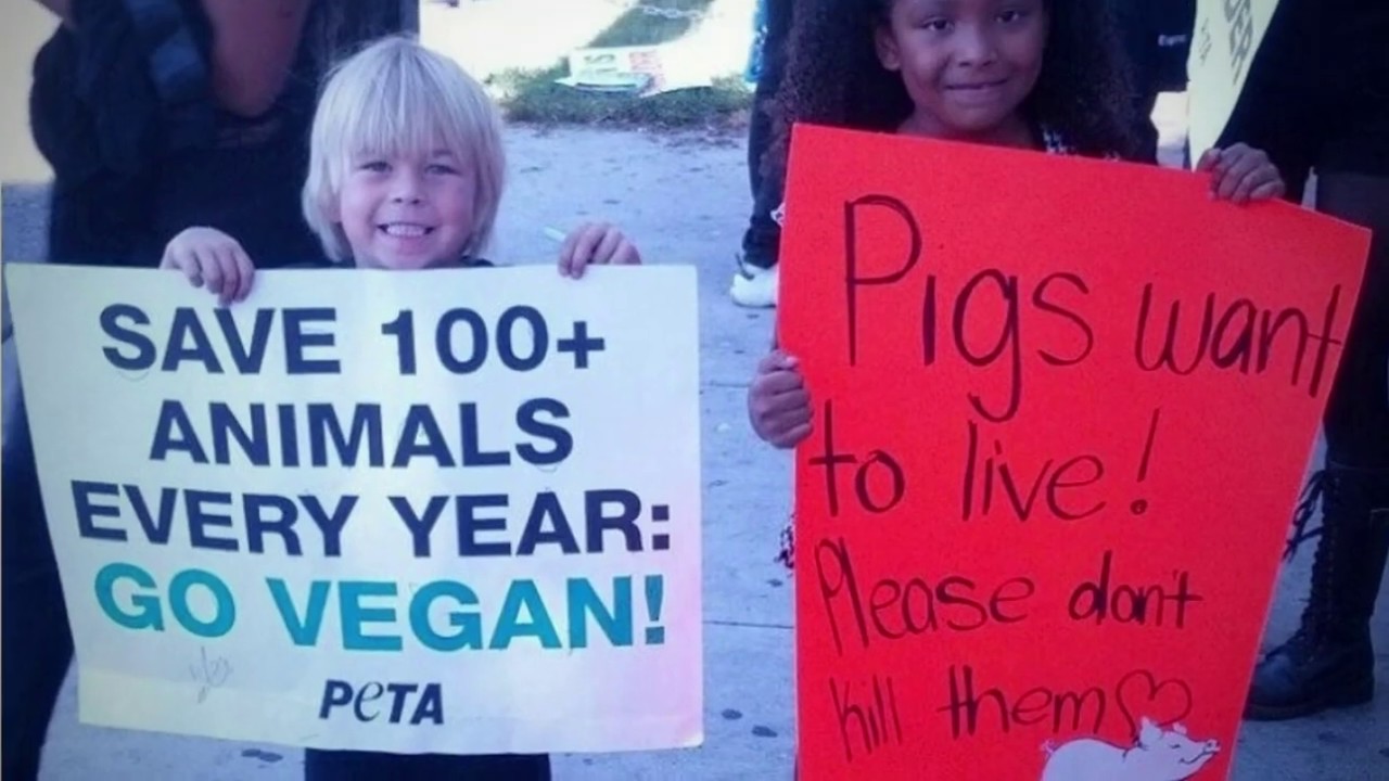 Vegan Vegetarian (A Raggae song by King Masmus) - YouTube