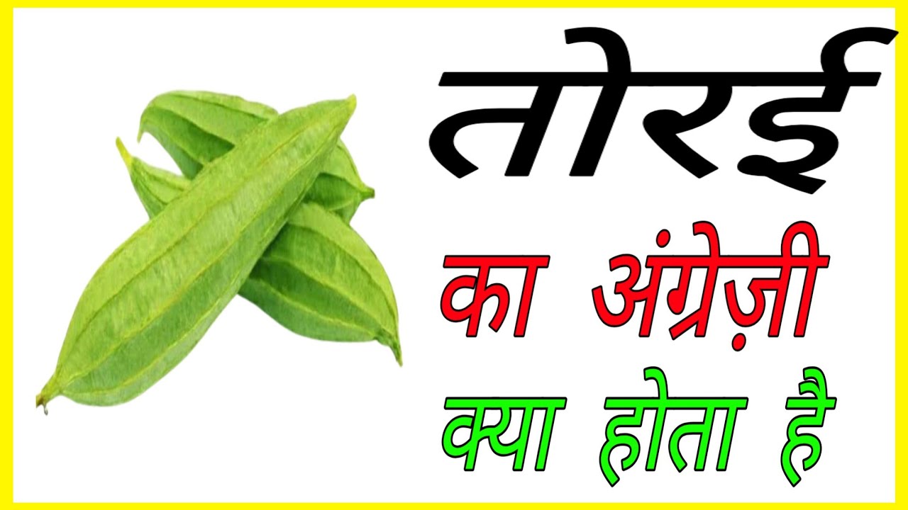 torai | torai ka english | torai ka english meaning | torai ko english ...