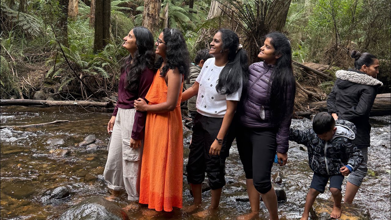 REDWOOD FOREST TRIP || Australia || Melbourne || Warburton|| - YouTube