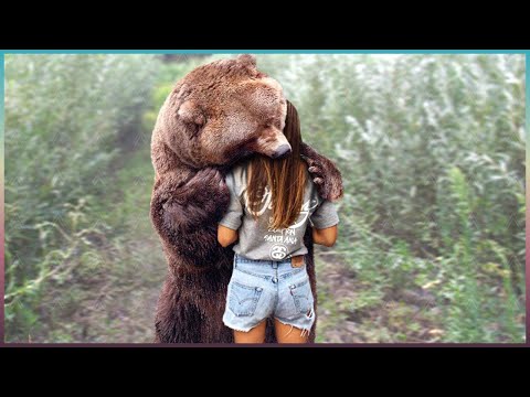 40 INSANE Animal Encounters To Watch Before End of the Month - YouTube