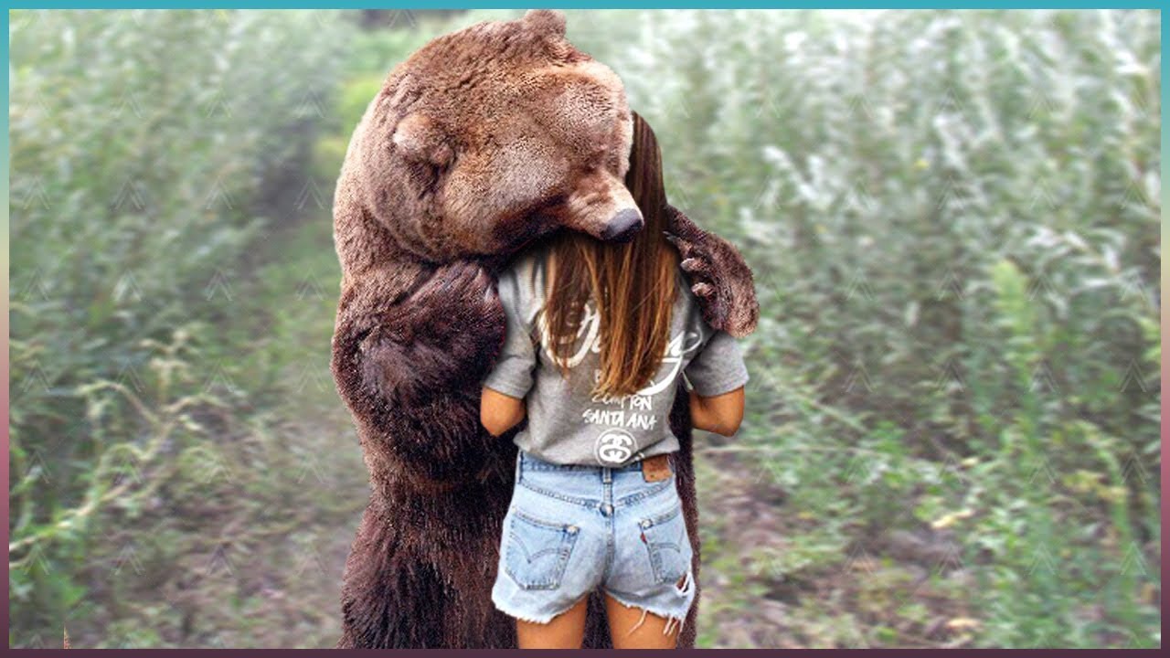 40 INSANE Animal Encounters To Watch Before End of the Month - YouTube