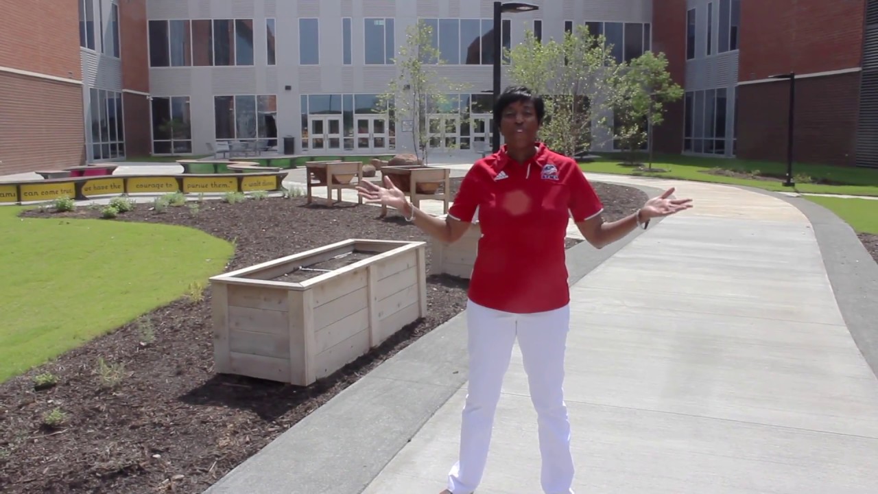 Take a look inside Apex Friendship Middle - YouTube