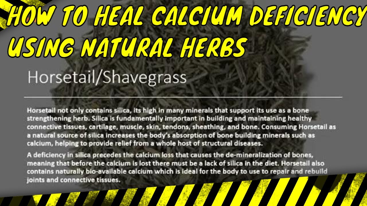 HOW TO HEAL CALCIUM DEFICIENCY NATURALLY USING HERBS | DR. SEBI ...