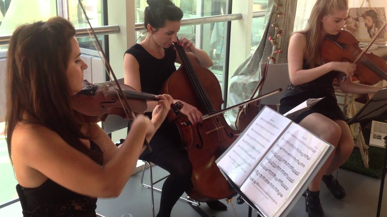 Female String Trio available to hire in London, Surrey and across the ...