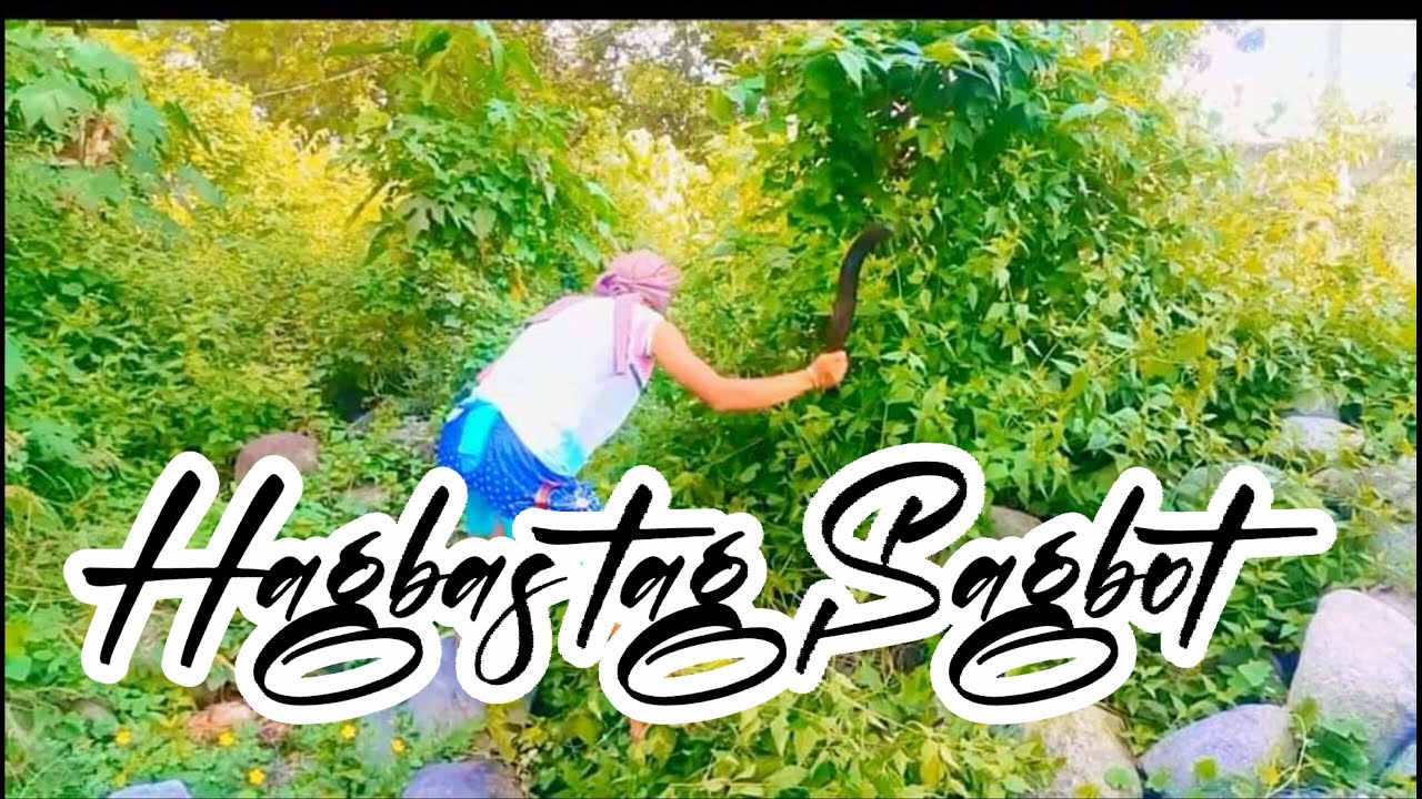 HAGBAS TAG SAGBOT @jefteechannel213 - YouTube