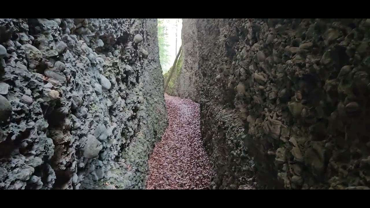 René Oberholzer 2025 - Bachtelspalt Wald - YouTube