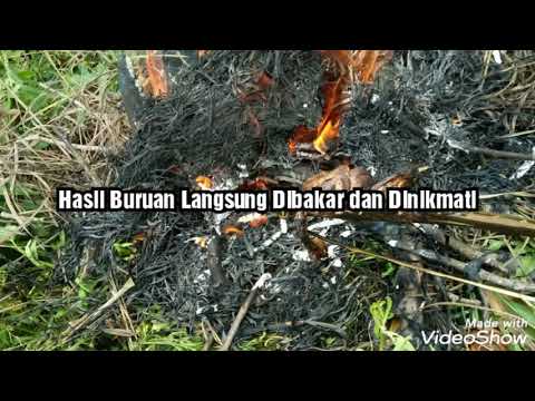 wik wik... Berburu dengan mantan pacar