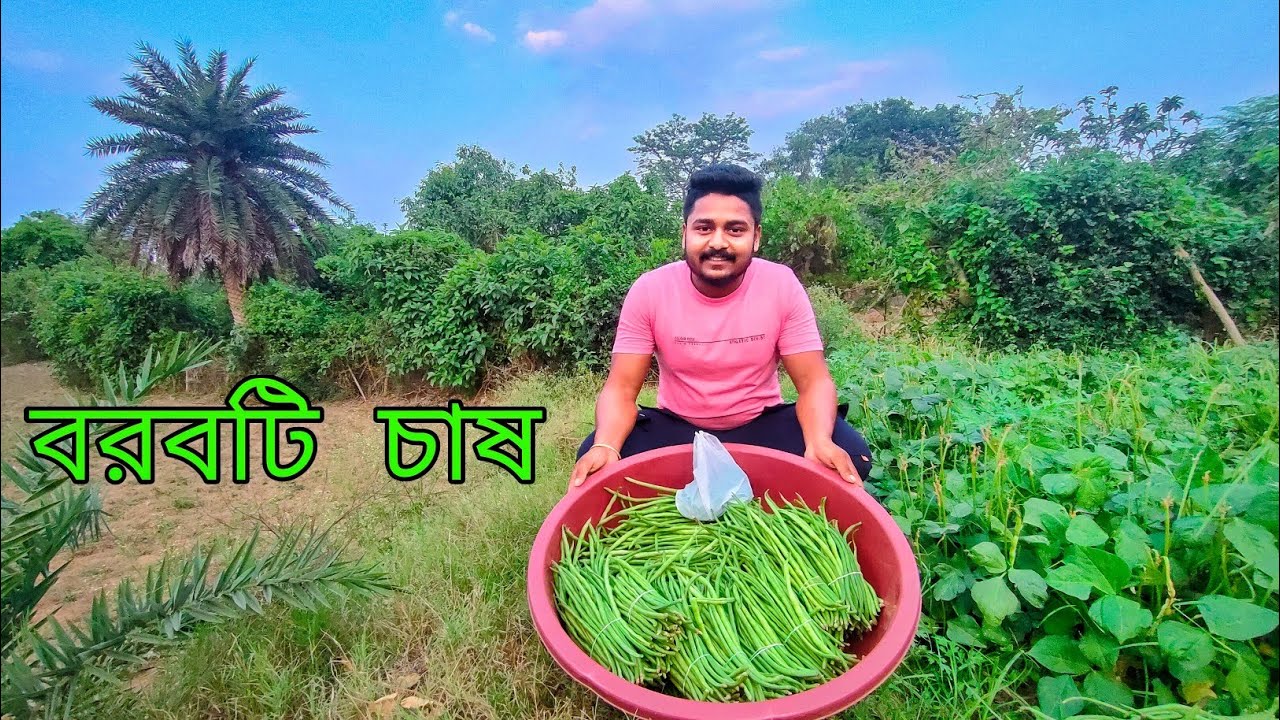 Borboti Chas | Barbati Chas | Organic Vegetables Farming | Sobji Chas ...