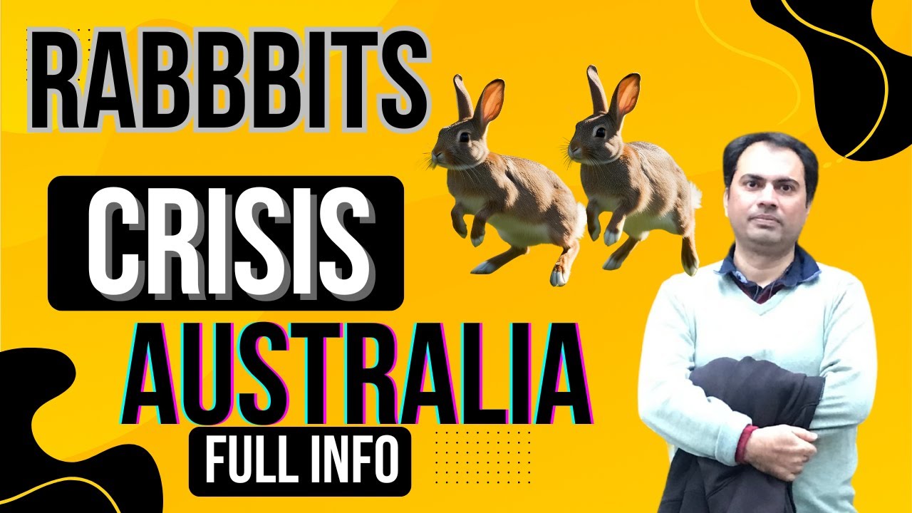 The Rabbit Crisis in Australia | Impact, Control Methods, and Ongoing ...