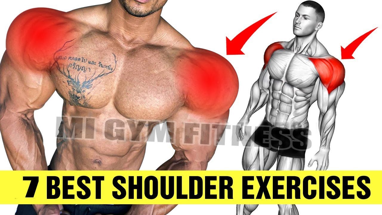 7 Best Shoulder Workouts - Sets and Reps Included - YouTube