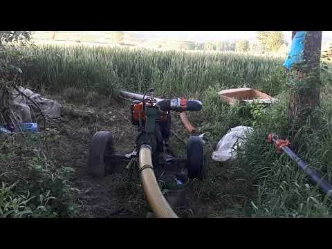 LOMBARDINI 17'lik SU MOTORU İLE BUĞDAY TARLASI SULAMA