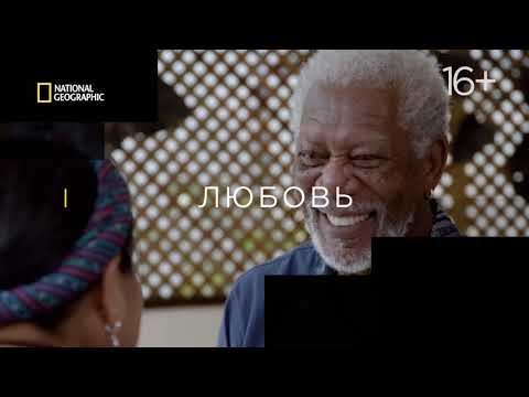 «История о нас с Морганом Фрименом»