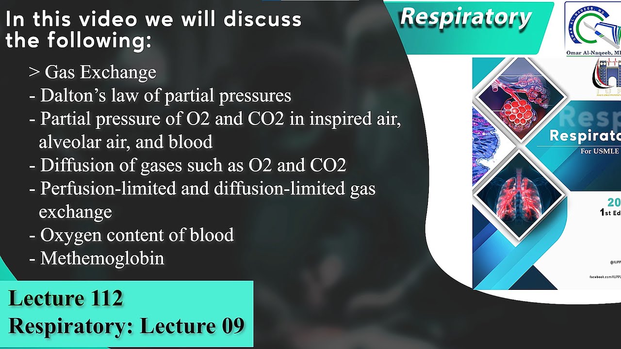 Perfusion limited and diffusion limited gas exchange || Oxygen content ...