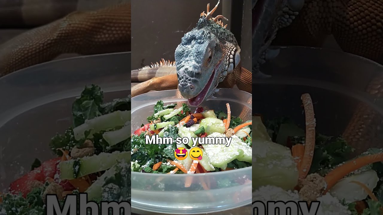 Mhm so yummy!🤩😋 - YouTube