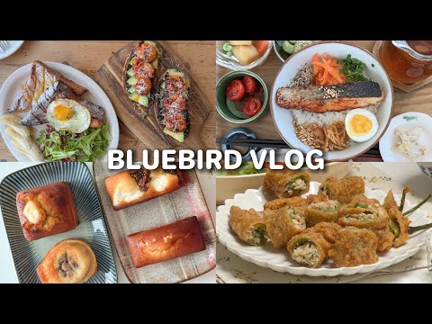 korea daily vlog | gute Restaurants in Seoul, kein Mehl kein Zuckerbrot, neue Tastatur