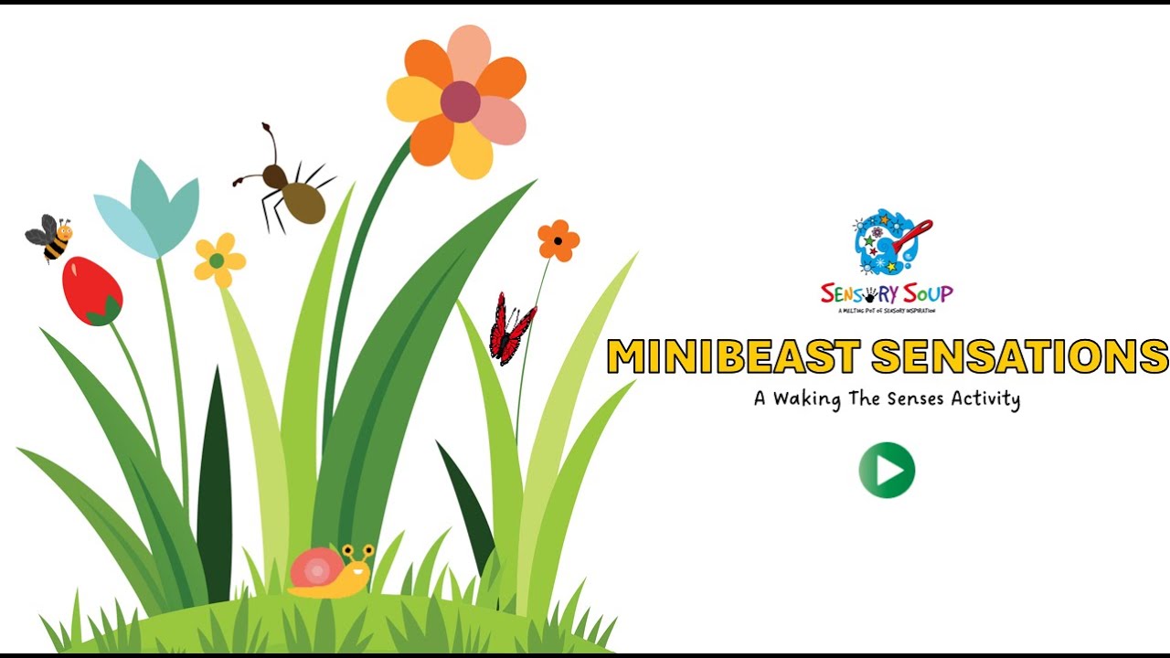 Minibeast Sensations - YouTube