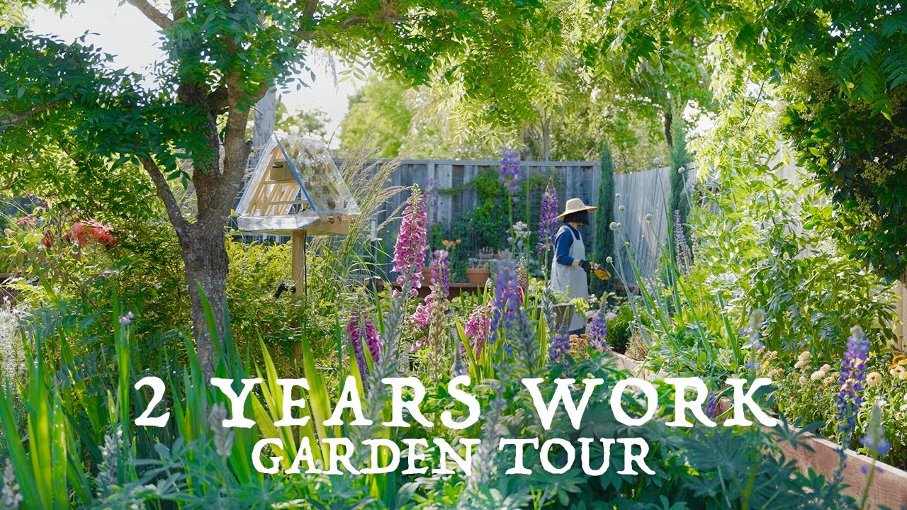 Backyard Garden Tour after 2 Years of Making, an immersive experience ...