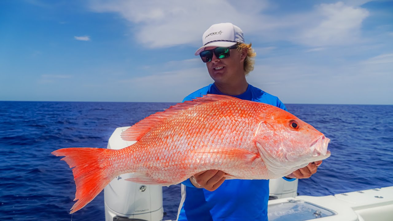 100 Miles to Target These Red Snappers | 34 Freeman | Catch & Clean ...