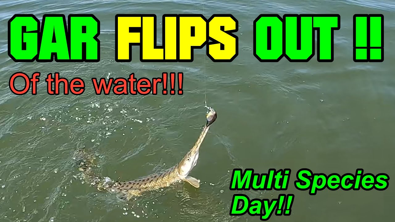 GAR GOES NUTS Multi Species Kayak Fishing [GAR, PIKE and BASS] - YouTube
