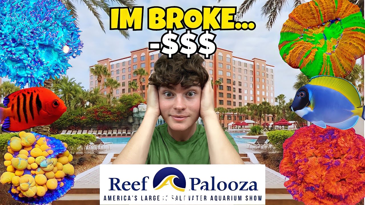 Reef-A-Palooza Orlando 2023!!! (BUYING NEW CORALS) - YouTube