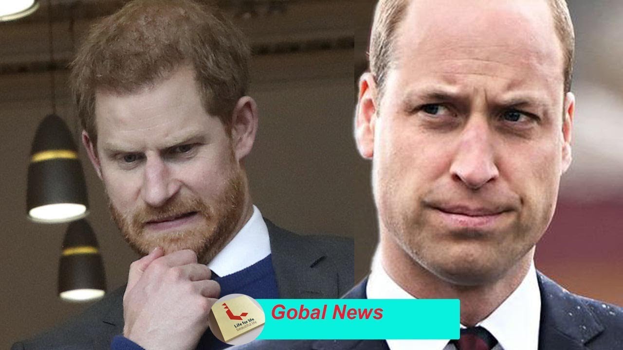 Royal shock: Prince Harry made a shocking statement amid the royal ...