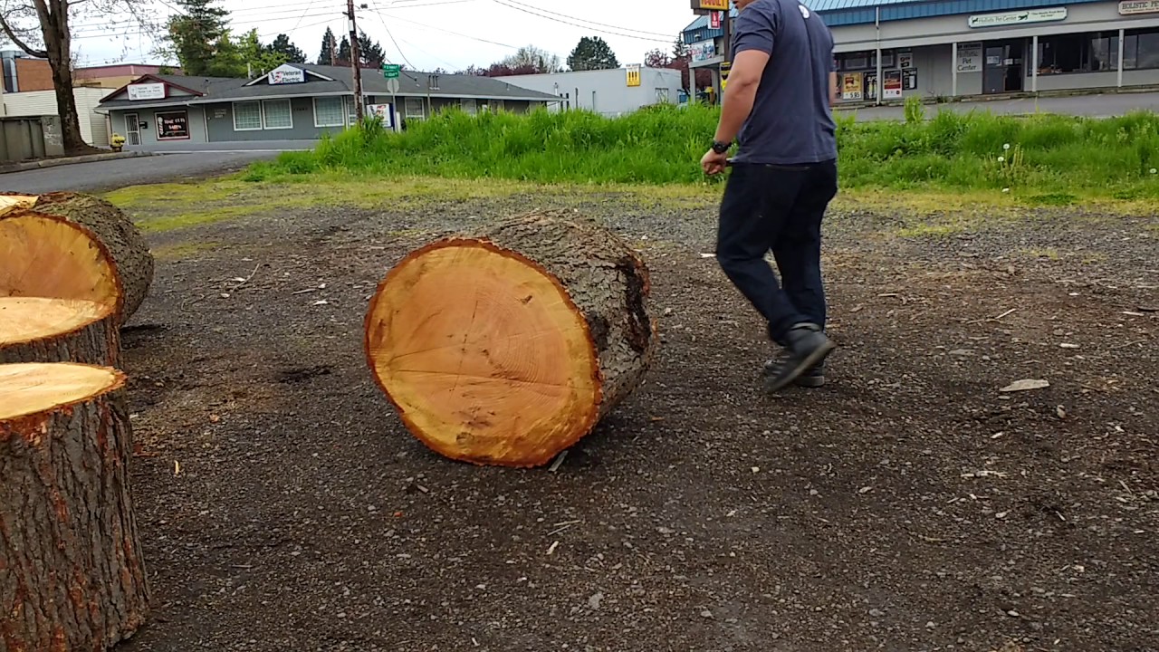 Splitting a giant log - YouTube