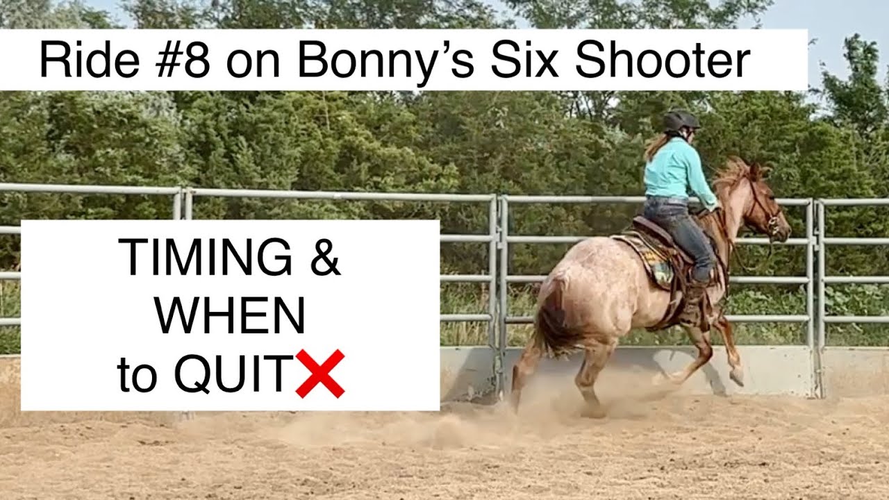 8th ride on a 2 year old colt featuring Bonnys Six Shooter/ Learning ...