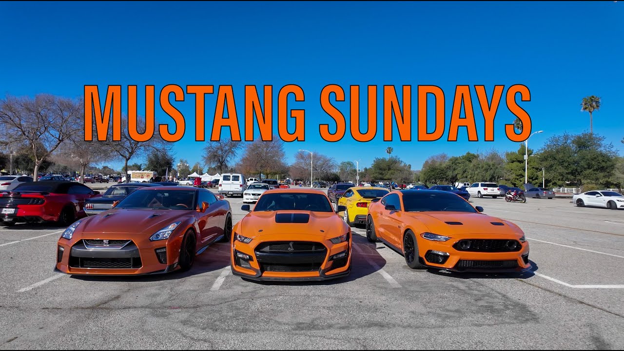 WE TOOK THE MUSTANGS OUT FOR MUSTANG SUNDAY - YouTube