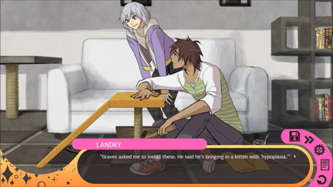 Hustle Cat (LANDRY) Part 2--Landry the Cat Carpenter - YouTube