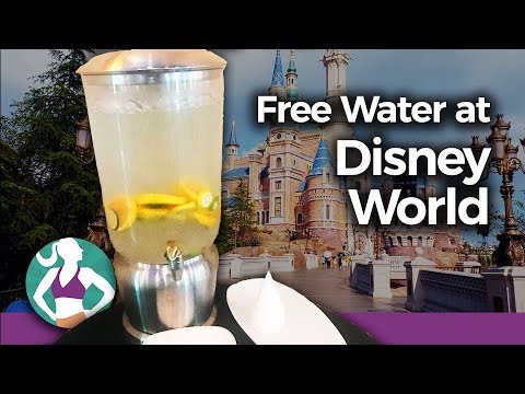 Where to Find Free Water at Disney World/DIsneyland - YouTube