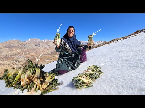 Motherly Journey: Searching for Angoze in the Zagros Snows! 🌨️❤️