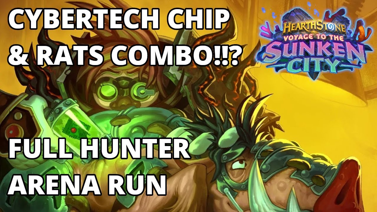 Cybertech Chip & Rats Combos!!? - Infinite Full Hunter Arena Run ...