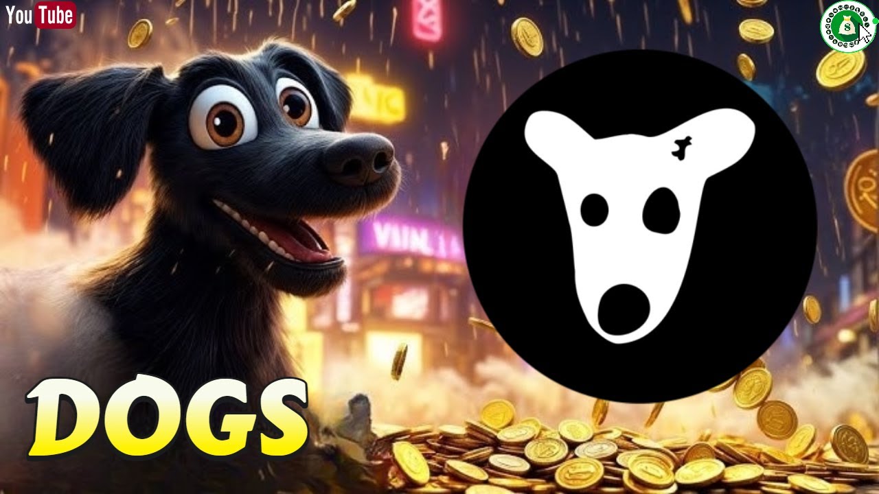 Mise à Jour DOGS Airdrop Date - YouTube