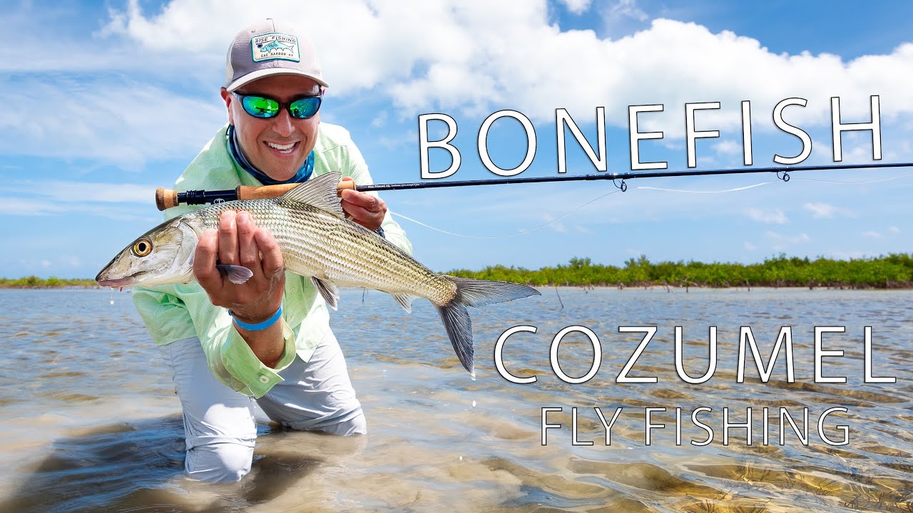 The Thrill of Fly Fishing for Bonefish in Cozumel's Crystal Clear ...