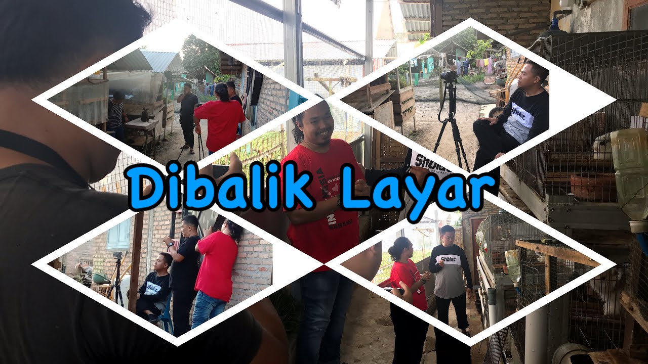 Behind The Scene Pengambilan Video King’s Bunny || Kibo Rabbit dan ...
