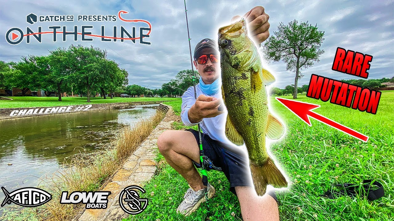 Caught A COW BASS?? Catch CO On The Line Challenge #2 (WHAT IS THIS ...