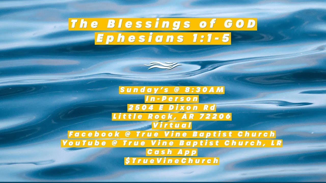 True Vine First Sunday November 2022 Communion & Baptism - YouTube
