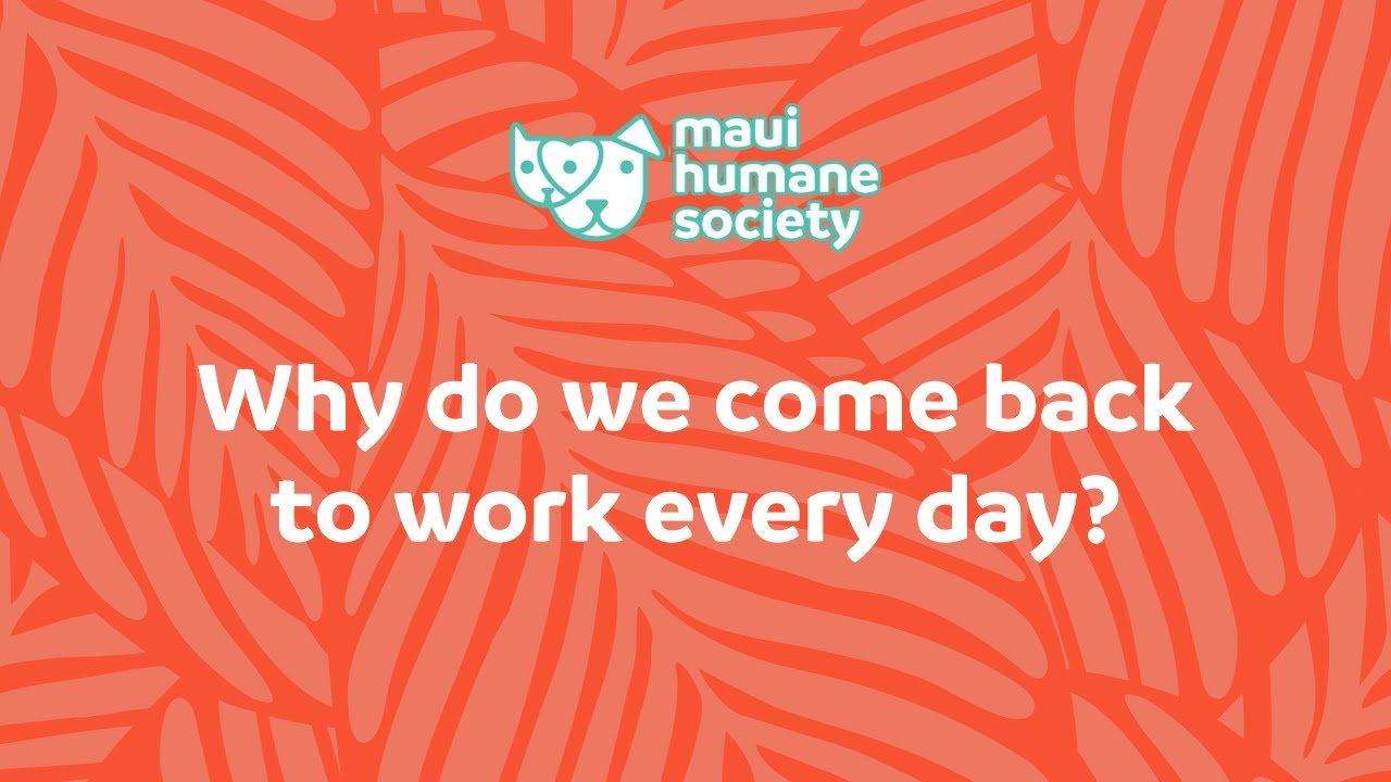 Why Do We Come Back To Work Every Day? - YouTube