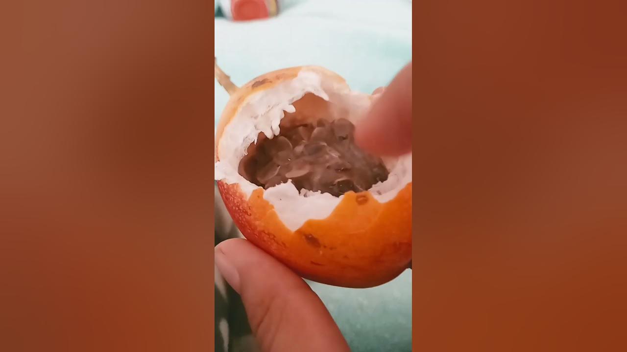 Probando la Granada china o como le llaman la fruta del moco - YouTube