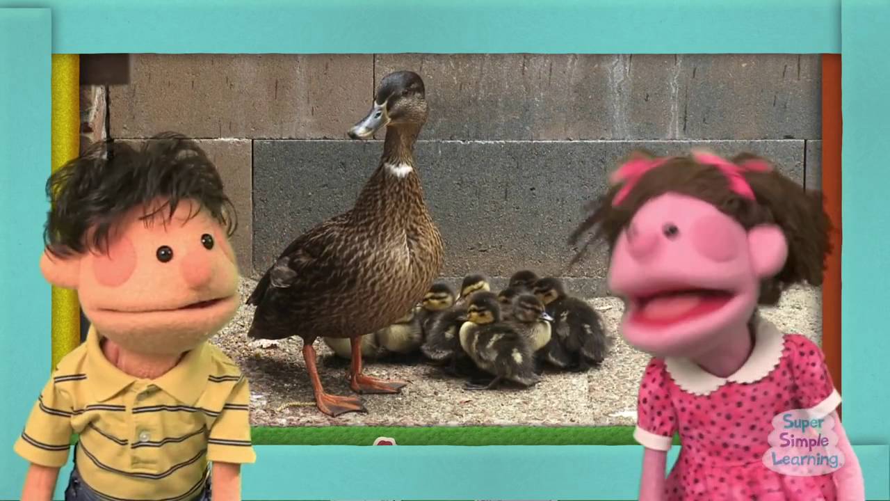 What Do You Hear? | Animal Song | Super Simple Songs - YouTube