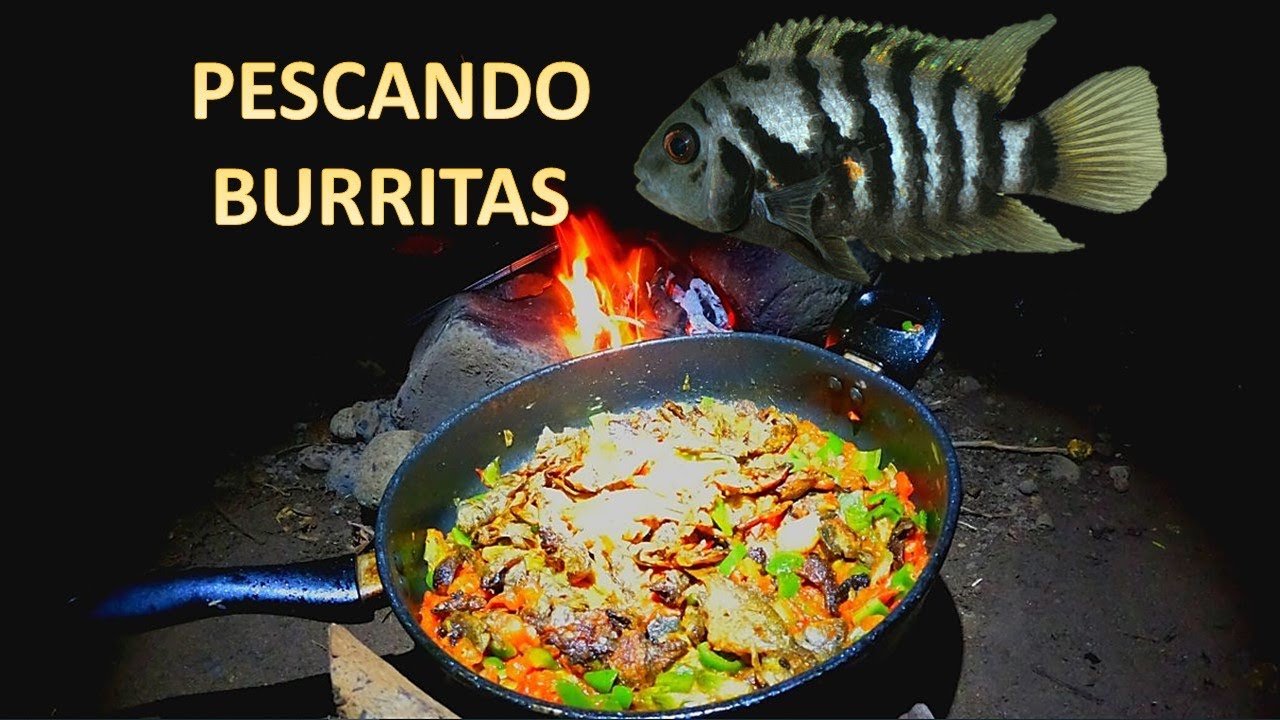 Una RECETA SENCILLA...PESCA y COCINA de burritas o conguitas - YouTube