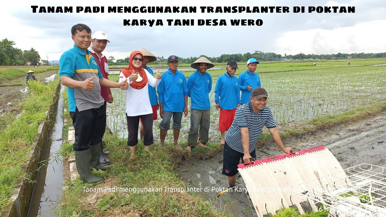 Tanam Menggunakan Transplanter di Poktan Karya Tani Ds Wero - YouTube