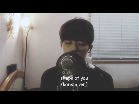 Ed Sheeran - Shape of you (한국어/korean ver.)